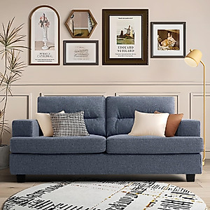 LEISLAND 70" Love Seat Couches Sofa with USB Port, Comfy Couches for Living Room, Small Couches for Small Spaces,Mid Century Modern Couch for Bedroom/Office(Blue)