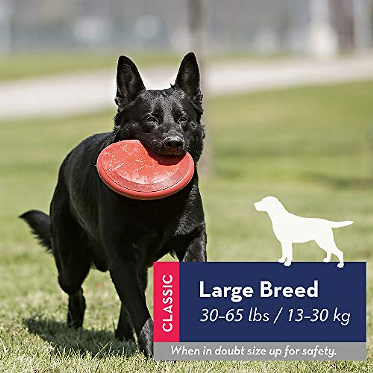 KONG Flyer - Durable Rubber Dog Flying Disc Toy - for Large Dogs