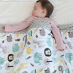 BORITAR Summer Baby Blanket for Boys Soft Minky with Double Layer Dotted Backing, Cute Animals Printed 30 x 40 Inch Receiving Blanket