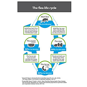 Bayer Animal Health Quad Dewormer for Large Dogs (Over 45 lbs) 2 Chewable Tablets