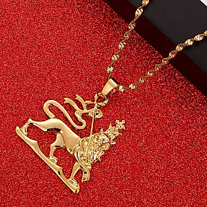 BR Gold Jewelry Ethiopian Lion Pendant Necklaces Chain Women Africa Ethiopia Lion Necklace