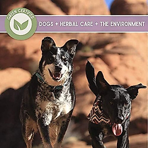 Farm Dog Naturals - Harmony, Topical Yeast Serum for Dogs, 1 Ounce