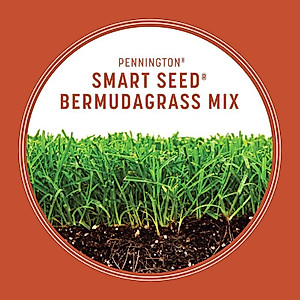 8.75LB Bermuda Seed