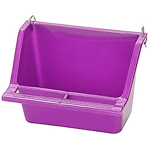 Living World Seed Cup with Perch, Large, Assorted