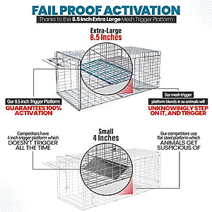 eXuby Large Cat Trap for Stray/Feral Cats & Other Animals - 32"x12"x13” - Catch Them Live & Relocate - Extra Large 8.5" Trigger Platform - Also for; Racoon, Rabbit, Possum, Skunk, Bobcat, Squirrel
