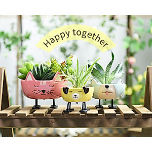 Pointnio Cute Plant Pots,Ceramic Garden Pots,Plant Gifts for Woman,Planters for Indoor Plants.Small Pots for Plant.Spring Flower Pots.Spider,Succulent Pots 6"+4.8"+4" Set of 3