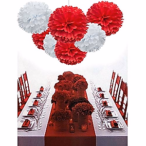 Red Paper Flower Tissue Pom Poms Party Supplies (red,white,12pc)