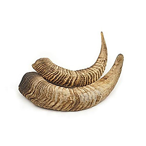 Herders Choice Chews Dried Goat Horns (Medium 2 pcs.)