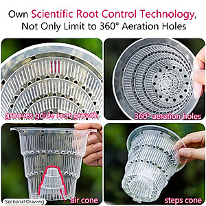Meshpot 4 inch Clear Plastic Orchid Pots with Holes and Saucers for Repotting,Pack of 4,Small Orchid Planters Own Scientific Controlling Roots Technology to Develop More Strong Roots