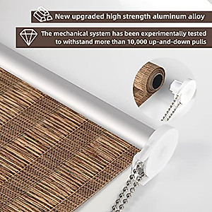 RED GRAPES Roller Window Shades,Light Filtering Roller Shade,Window Blinds,Roll Up and Down Blinds for Home,Easy to Install(Coffee, 58'')