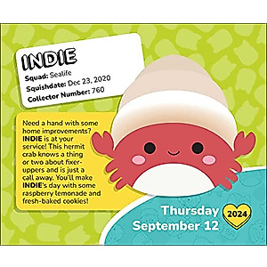 Squishmallows 2024 Day-to-Day Calendar