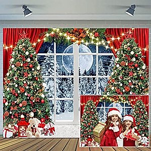 CYLYH 7x5ft Winter Snow Scene Backdrop for Photography - New Year's and Christmas Party Photo Background (D806)