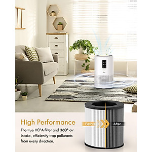 Air Purifier B-D02U Replacement Filter, VEWIOR H13 True HEPA Air Cleaner Filter (Special for B-D02U Air Purifier)