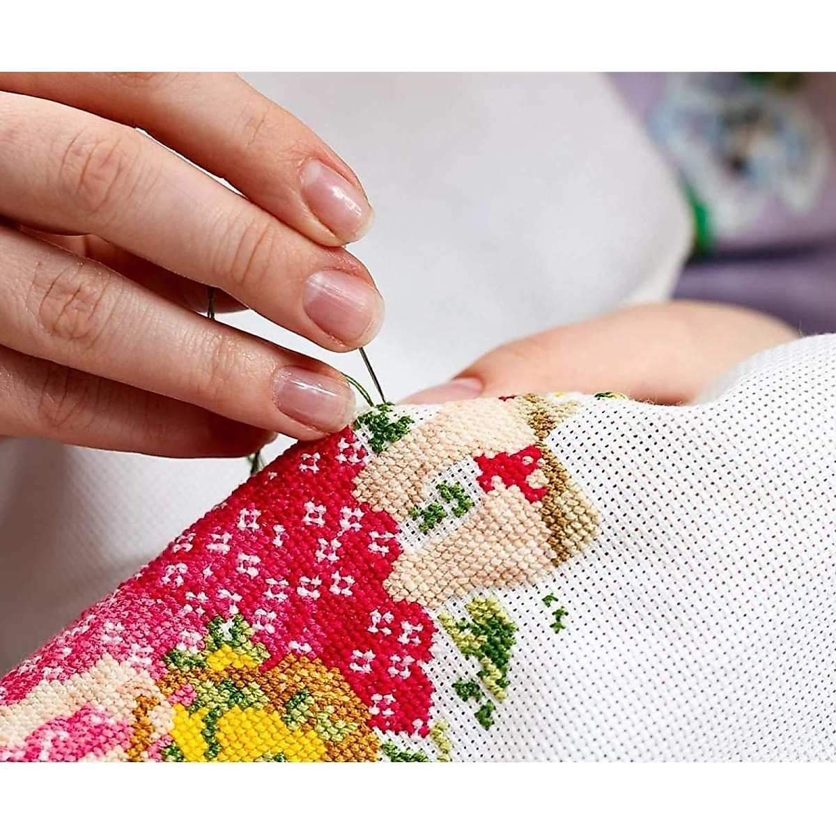 COKYIS Cross Stitch Kits for Adults Stamped Poodle 11CT Printed Cross Stitch Kits,Counted Embroidery Kits for Beginner Wall Art Home Decoration 40x50cm