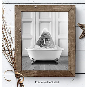 Coastal Bathroom Wall Art & Decor - Bathtub Wall Art - Sea Animal Beach Bathroom Decor - Bathroom Pictures - Funny Bathroom Decor - Bath Wall Decor - Restroom Sign - Cute Unique Guest Bathroom Poster