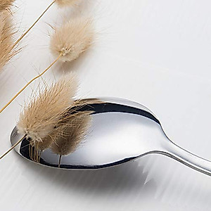 6.7 Inches Stainless Steel Spoon,Set of 6,Use for Home, Kitchen or Restaurant