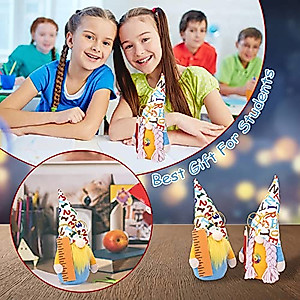 WOKEISE Teacher Appreciation Gifts Gnomes,Back to School Decorations Gnomes Graduation Plush Gift,Handmade Swedish Gnome for Office Desk Home Table Decor,Set of 2