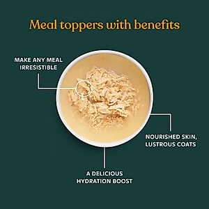 Made by Nacho Wet Cat Food Broth Meal Topper, Cage-Free Shredded Chicken in Bone Broth for Extra Hydration, Limited-Ingredient Sensitive Diet, 24 Pouches 2.5oz