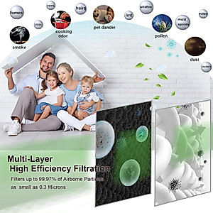 (2) MD1-0022 True HEPA Filter with (4) MD1-0023 Activated Carbon Pre-filter, Compatible with Vornado Air Purifier Model AC300, AC350, AC500, AC550, PCO200, PCO300, PCO375DC, PCO500, PCO575DC