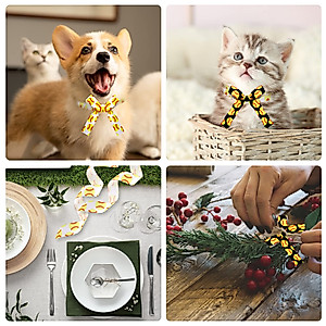 2 Rolls 10 Yards 7/8 Inches Softball Ribbon for Crafts Softball Grosgrain Ribbon for Cheer Bows Team Gift Wrapping Uniform Sewing