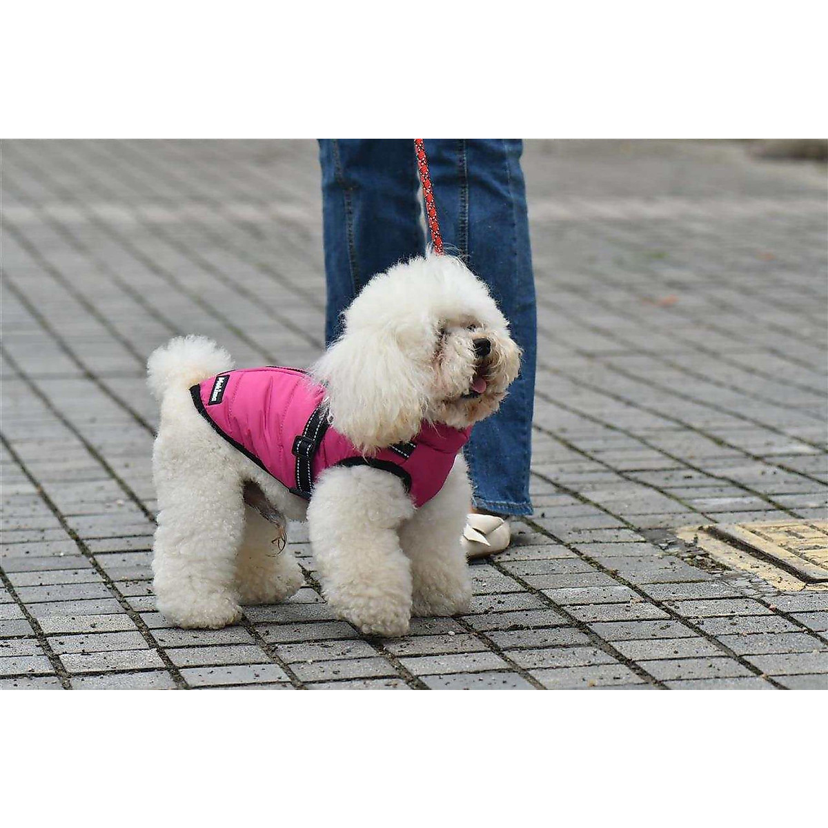 MOKIMA Small Dog Warm Jacket with Leash Attachment - Winter Small Dog Sweater Coat - Small Dog Clothes for Indoor and Outdoor Use - Water Resistant - (Small, Grey)