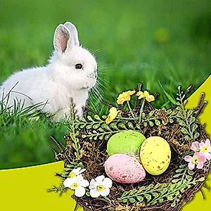 Asekonc 4PCS Easter Birds Nest Decorating, Rattan Nest for Crafts Home Party Decor Party, Wedding Patio Garden Succulent Planter Moss Landscape DIY Terrarium(5.9Inch)