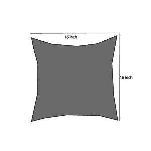 Pinkparrot dopian Silk Multi Colour Cushion 16x16 inch Set of 2 pc-Fc41