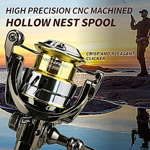 HISHARK Fishing Reel Spinning Reels, 5+1 Ball Bearings,6.2:1 Gear Ratio,HS 4000 Series, Ultra Smooth/Ultralight Perfect for Fishing