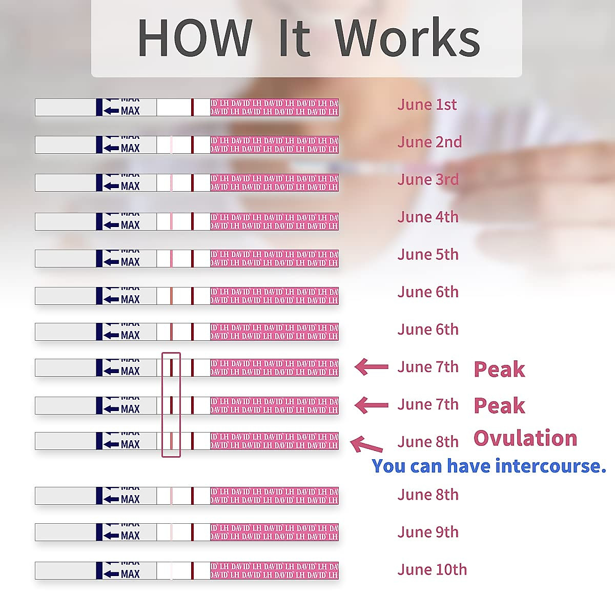 DAVID Ovulation Predictor Kit, 30 Ovulation Tests + 10 Pregnancy Tests Strips, 40 Count with Urine Cups, Fertility Test for Women, Over 99% Accurate (30LH-10HCG), EXP 10-30-2023
