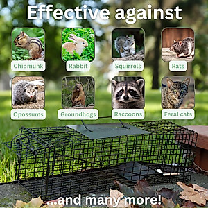 Special Squirrel Standard Cage Trap - Heavy Duty Black Mesh Snare - Safe and Effective Squirrel Control for Commercial and Residential Use - Great for Barns, Garages & Sheds