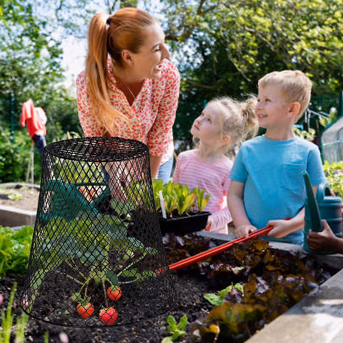 Garden Cloche, Sapbontchi 10 pieces Chicken Wire Plant Covers plant protectors from animals Chicken Wire Cloche Plant Protector Metal plant cages to keep rabbits out Bunnies Chicken Squirrels Bird out