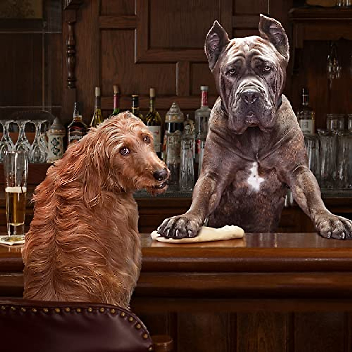 Fromm Adult Gold Premium Dry Dog Food - Chicken Recipe - 30 lb