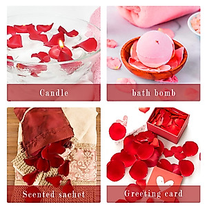 Sukh 3oz Dried Rose Petals - Dry Rose Petals Real Rose Petals Dried Organic for Rose Bath Spa Rose Quartz Candle Soap Making Wedding Confetti Resin Jewelry DIY Crafts Accessories