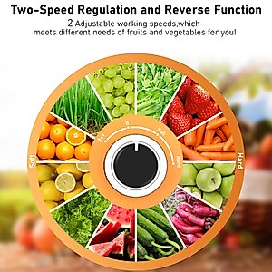 Cold Press Juicer, Fezen Juicer Machines Vegetable and Fruit Masticating juicer High Juice Yield/Two Modes/Quiet Motor With Reverse Function/Dishwasher Safe, Ideal Gift for Home