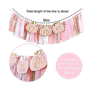 Pumpkin Highchair Banner for 1st Birthday - Our Little Pumpkin Banner, Pumpkin Birthday Party Decorations, Pink Gold First Birthday Banner, Baby Shower Decorations for Baby Girl