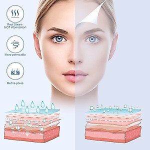 NewWay Facial Steamer with Extendable Arm Steaming Warm Mist Humidifier for Face Spa Sinuses Moisturizing, Homeuse or Salon