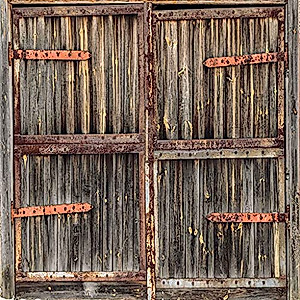 DALEM Soft Fleece Throw Blanket - Fluffy Microfiber Solid Blankets for Bed and Couch Double/Single Size - 59X79Inch Iron Wooden Door Printed Flannel Blanket for Bed, Couch and Sofa