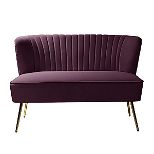 TINA'S HOME Contemporary Velvet Loveseat Sofa, Upholstered Loveseat Couch with Golden Metal Legs, Small Tufted 2-Seat Sofa Armless Love Seat for Living Room, Bedroom, Apartment Small Spaces, PURPLE