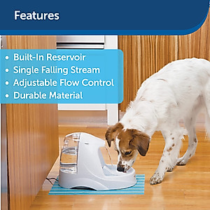 PetSafe Drinkwell Platinum Dog and Cat Water Fountain, Automatic Drinking Fountain for Pets, 168 Ounce