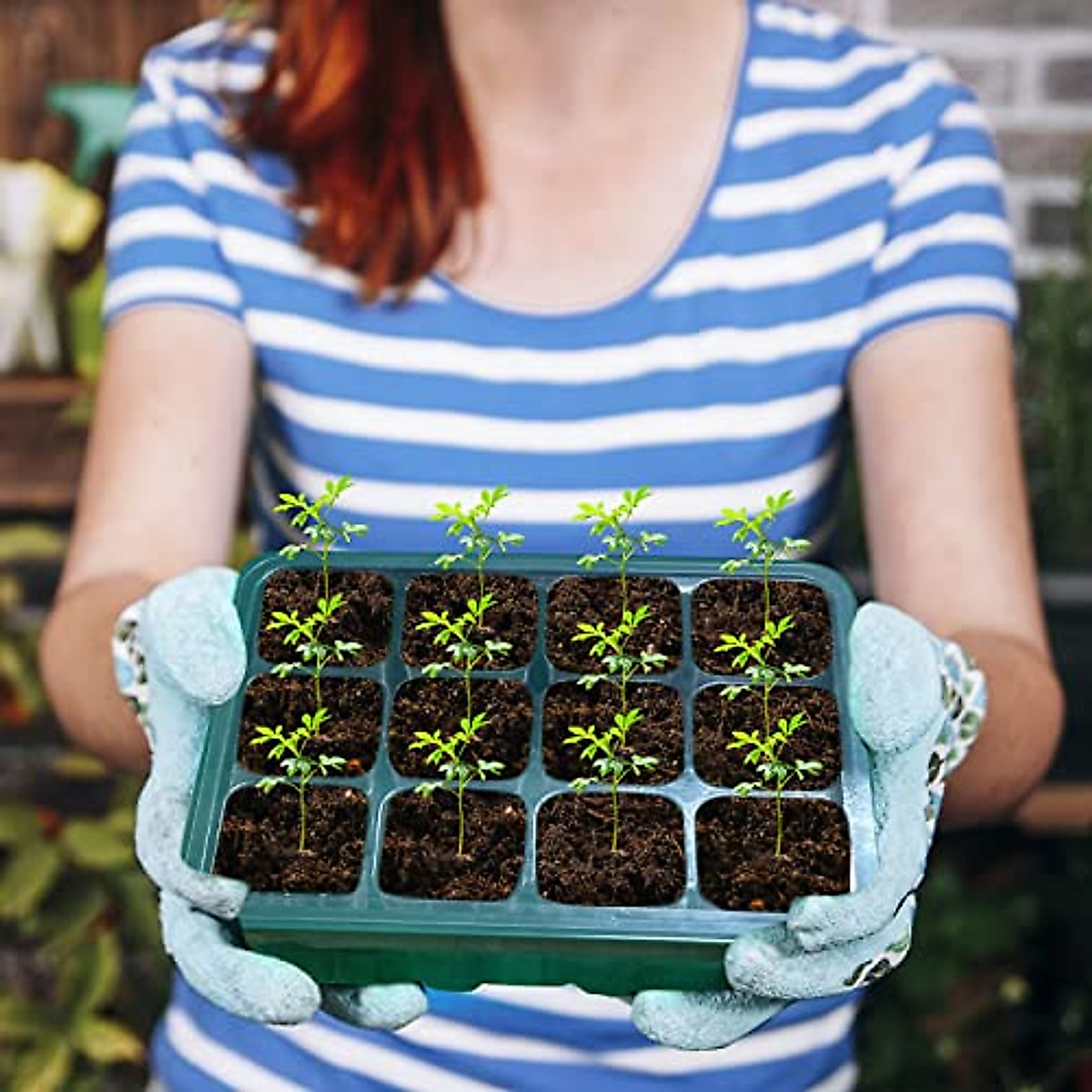 Cookmaster Seed Starter Tray, 6 Pack Seed Starter Kits with Grow Light, Seedling Trays with Humidity Domes, Indoor Gardening Plant Germination Trays, Covers Height 3.9", (12 Cells per Tray)