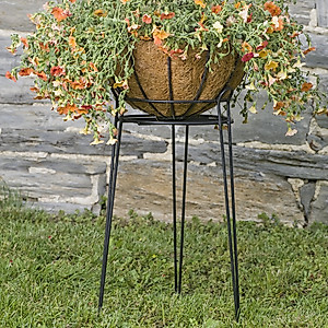 CobraCo S1021B 21-Inch Basic Black Plant Stand S1021-B