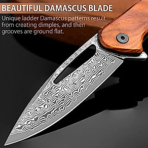 NedFoss PEGASUS Damascus Pocket Knife for Men, 3.5" Ladder Pattern Damascus Steel Folding Knife with Rosewood Handle, Ball Bearings Pivot, Deep Carry Clip, EDC Knife Camping Gifts for Men Women