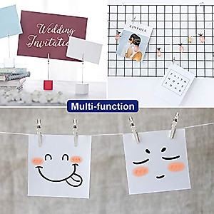 100PCS 1.37IN / 35mm Metal Alligator Clips, Crocodile Clamps Silver Tone Nickel Plated Spring Clamps Test Line Crocodile Clips for Laboratory Electric Testing Work and Cable Lead Clip