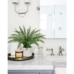 DILATATA Faux Plant Indoor in Ceramic Pot 16" Artificial Potted Boston Fern Fake House Plants for Desk Office Bathroom Garden Decoration