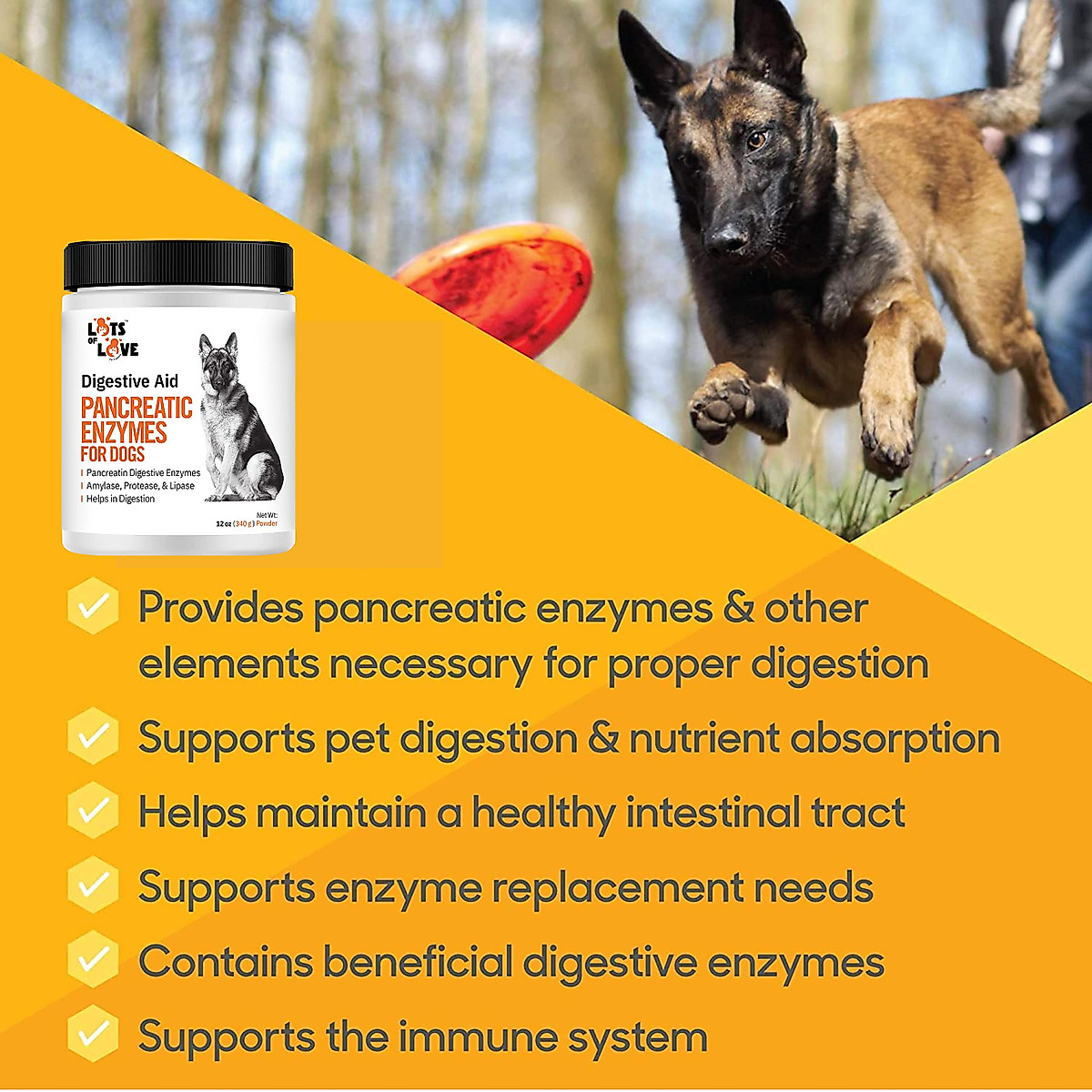 Pancreatic Enzymes for Dogs (Thomas Pet Bio Case Same Formula) - Lots of Love Pet Products - 12 Oz Powder