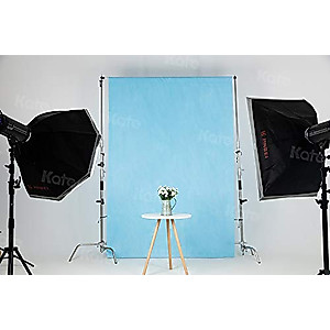 Kate 6ft×9ft Solid Light Blue Backdrop Portrait Photography Background for Photography Studio Children and Headshots Sky Blue Backdrop Background for Photography Photo Booth