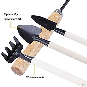 Hofumix Bonsai Tree Kit Bonzai Plant Tools Gardening Tools Set for Succulent Beginner Small Bonsai Care 10Pcs