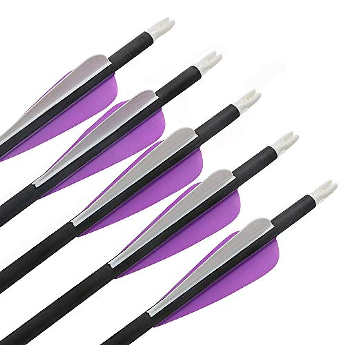 IRQ Archery 31Inch Carbon Arrow Practice Hunting Arrows with Removable Tips for Compound & Recurve Bow(Pack of 12)