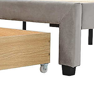 Livavege Queen Bed Frame with Wingback Headboard and Storage Drawers, Velvet Upholstered Platform w/Wooden Slats Support, Queen Size Bedframe No Box Spring Needed, Easy Assembly/Mattress Foundation
