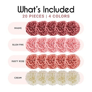 EpiqueOne 20-Piece Tissue Paper Pom Poms Party Kit - Add a Splash of Blush Pink, Dusty Rose, Mauve & Cream to Your Celebrations! Perfect for Birthday, Bridal Shower, Baby Shower, Wedding & Graduation